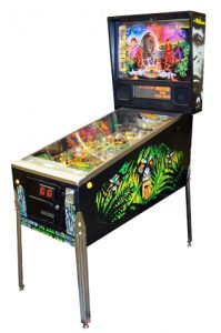 Pinball Games Lease Hire - Pinball Machine Game Party Rental